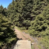 Middle Head Trail, Nova Scotia, Canada - 1,312 Reviews, Map | AllTrails