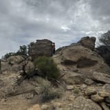 Palisade Rim Trail, Colorado - 1,576 Reviews, Map | AllTrails