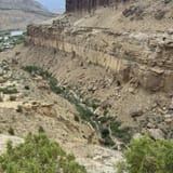 Palisade Rim Trail, Colorado - 1,576 Reviews, Map | AllTrails