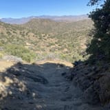 Panorama Loop, California - 3,032 Reviews, Map | AllTrails