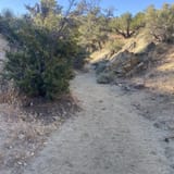 Panorama Loop, California - 3,032 Reviews, Map | AllTrails