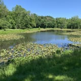 Hawk Ridge Trail, Missouri - 2,959 Reviews, Map | AllTrails