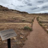 Trail Through Time, Colorado - 328 Reviews, Map | AllTrails