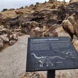 Trail Through Time, Colorado - 328 Reviews, Map | AllTrails