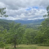 Weldon Wagon Road Trail, Washington - 532 Reviews, Map | AllTrails