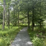 Limberlost Trail, Virginia - 925 Reviews, Map | AllTrails