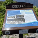 Timpoochee Trail, Florida - 243 Reviews, Map | AllTrails