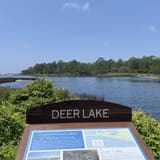 Timpoochee Trail, Florida - 247 Reviews, Map | AllTrails