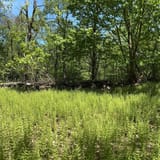 Shaker Mountain Loop via Shaker Trail, Massachusetts - 490 Reviews, Map ...