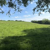 Anglezarke Reservoir, Lancashire, England - 638 Reviews, Map | AllTrails