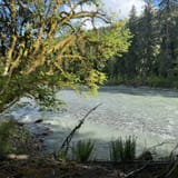 Robe Canyon Historic Trail, Washington - 986 Reviews, Map | AllTrails