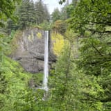 Latourell Falls Loop, Oregon - 6,706 Reviews, Map | AllTrails