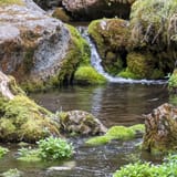Botany Canyon, South Dakota - 549 Reviews, Map | AllTrails