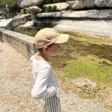 Jacob’s Well Trail, Texas - 406 Reviews, Map | AllTrails