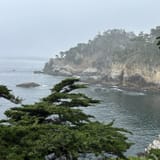 Point Lobos Loop, California - 7,776 Reviews, Map | AllTrails