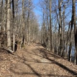 Lake Ontelaunee Trail, Pennsylvania - 185 Reviews, Map | AllTrails