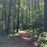 Mount Toby Trail, Massachusetts - 1,098 Reviews, Map | AllTrails
