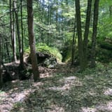 Mount Toby Trail, Massachusetts - 1,098 Reviews, Map | AllTrails