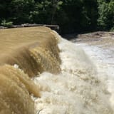 Waterloo Falls, Tennessee - 60 Reviews, Map | AllTrails