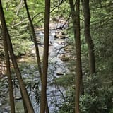 Meadow Run Trail, Pennsylvania - 1,234 Reviews, Map | AllTrails
