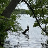 Lake Harriet Loop Trail, Minnesota - 1,342 Reviews, Map | AllTrails