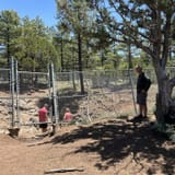 Ice Cave via Blue Ridge Cave Trail No. 608, Arizona - 525 Reviews, Map ...
