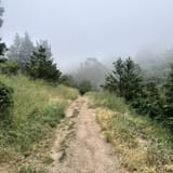 Tres Sendas Trail, California - 276 Reviews, Map | AllTrails