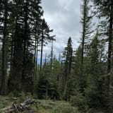 Mount Kit Carson Loop Road, Trail 140 and Trail 110 Loop, Washington ...