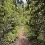 Mount Kit Carson Loop Road, Trail 140 and Trail 110 Loop, Washington ...