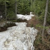 Mount Kit Carson Loop Road, Trail 140 and Trail 110 Loop, Washington ...
