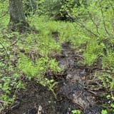 Mount Kit Carson Loop Road, Trail 140 and Trail 110 Loop, Washington ...