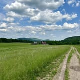 Miller Mountain Trail Loop, Pennsylvania - 170 Reviews, Map | AllTrails