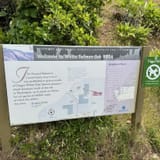 Weldon Wagon Road Trail, Washington - 532 Reviews, Map | AllTrails