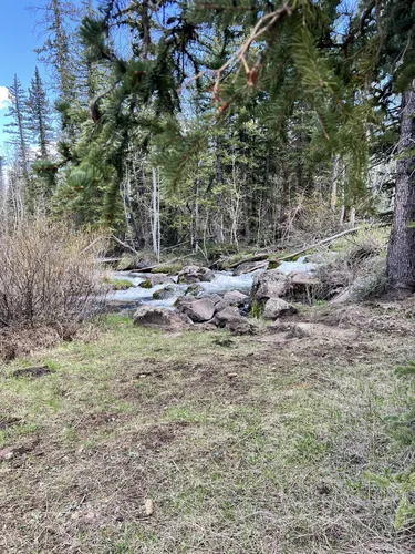 Best Dog Friendly Trails in Duck Creek Village | AllTrails