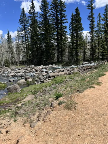 Best Dog Friendly Trails in Duck Creek Village | AllTrails