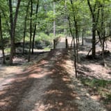 Ratcliff Lake Trail, Texas - 242 Reviews, Map | AllTrails