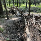 Ratcliff Lake Trail, Texas - 242 Reviews, Map | AllTrails