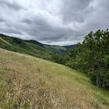 Weldon Wagon Road Trail, Washington - 532 Reviews, Map | AllTrails