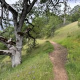 Weldon Wagon Road Trail, Washington - 532 Reviews, Map | AllTrails