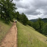 Weldon Wagon Road Trail, Washington - 532 Reviews, Map | AllTrails