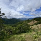 Weldon Wagon Road Trail, Washington - 532 Reviews, Map | AllTrails