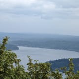 Big Tree Ridge Trail, Washington - 595 Reviews, Map | AllTrails