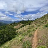 Weldon Wagon Road Trail, Washington - 532 Reviews, Map | AllTrails