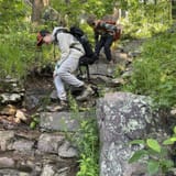 Ice Age Trail, Upland, West Bluff, and Johnson Moraine Loop, Wisconsin ...