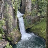 Toketee Falls, Oregon - 2,127 Reviews, Map | AllTrails
