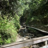 The Flume Gorge Trail, New Hampshire - 4,341 Reviews, Map | AllTrails