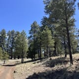 Campbell Mesa Loop, Arizona - 1,245 Reviews, Map | AllTrails