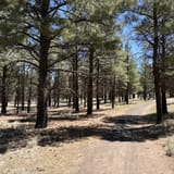 Campbell Mesa Loop, Arizona - 1,246 Reviews, Map | AllTrails