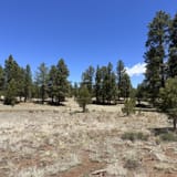 Campbell Mesa Loop, Arizona - 1,245 Reviews, Map | AllTrails