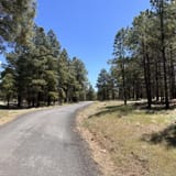 Campbell Mesa Loop, Arizona - 1,329 Reviews, Map | AllTrails